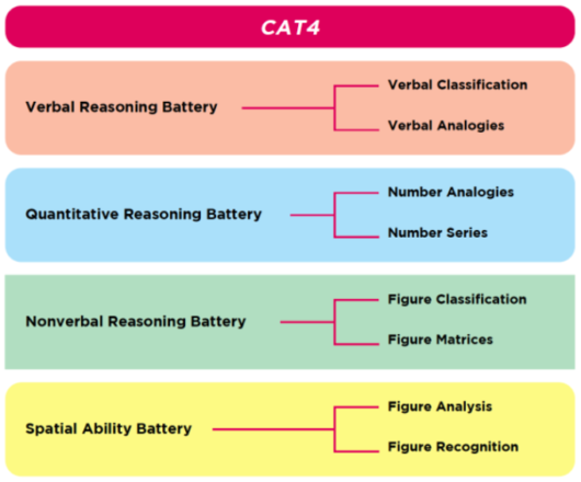 マレーシアインターナショナルスクールの入学試験によく用いられる認知能力テスト「CAT4」とは | はりきりライフ